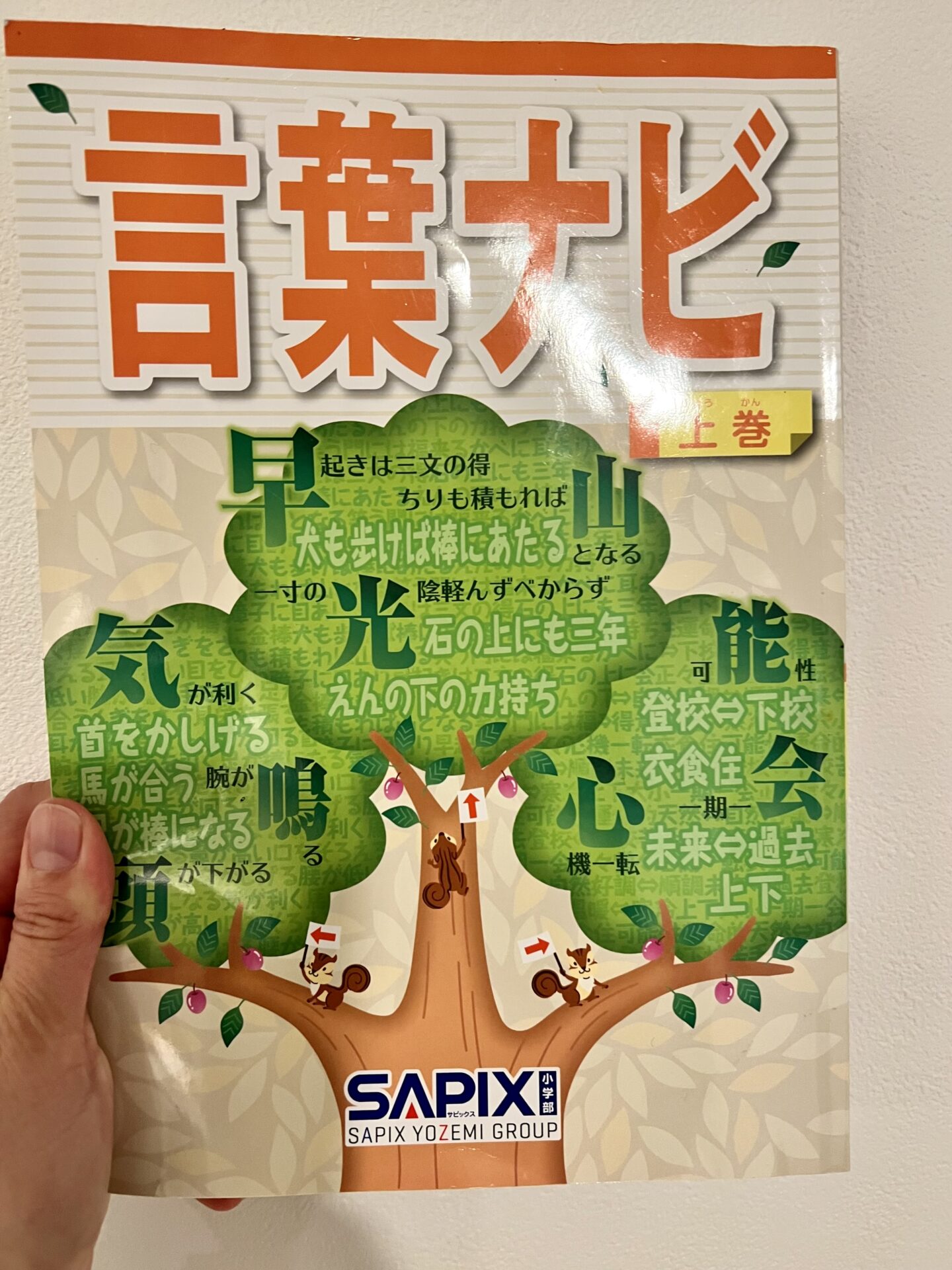 中学受験 | Ankiアプリで言葉ナビの暗記を開始｜オロロン中学受験ブログ